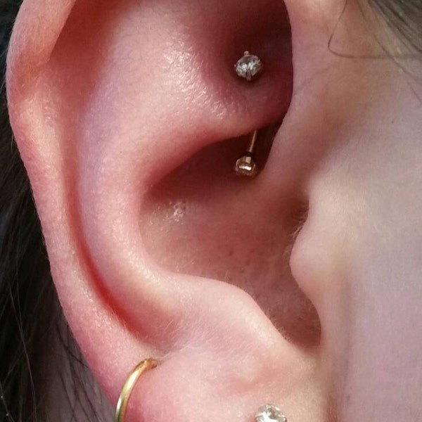 Golden Rook Piercing Internally Threaded Curved Barbell..16g..8mm - Etsy