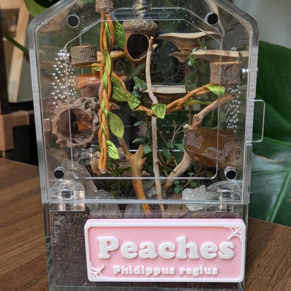 3D Universal Treehouse Insert for Jumping Spiders and Invertebrate ...