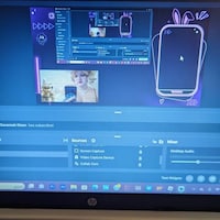 Cute Animated Bee Overlay for Twitch, Bumblebee, Animated Overlay Pack ...