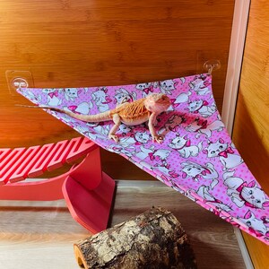 Crested Gecko Hammock Reptile Hammock - Etsy