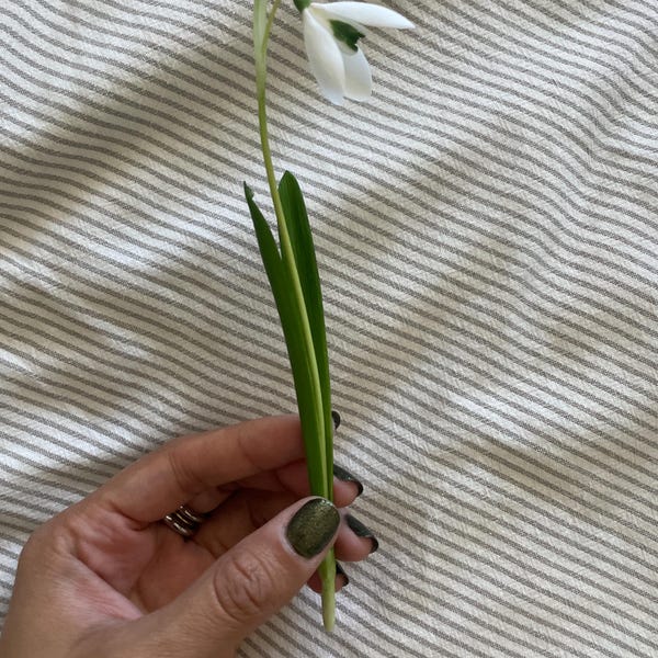 Snowdrop, Cold Porcelain Flowers, Real Touch Flowers, Artificial ...