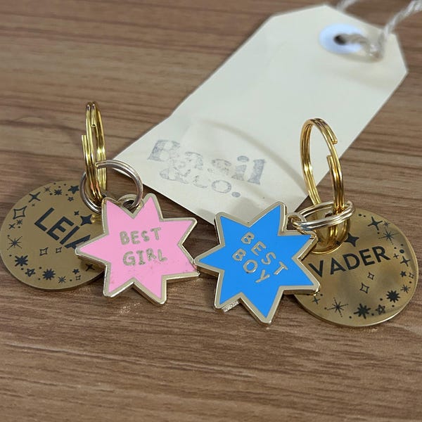 Enamel Dog Tag | Best Boy Cute Star Enamel Tag | Durable Engraved Dog ...
