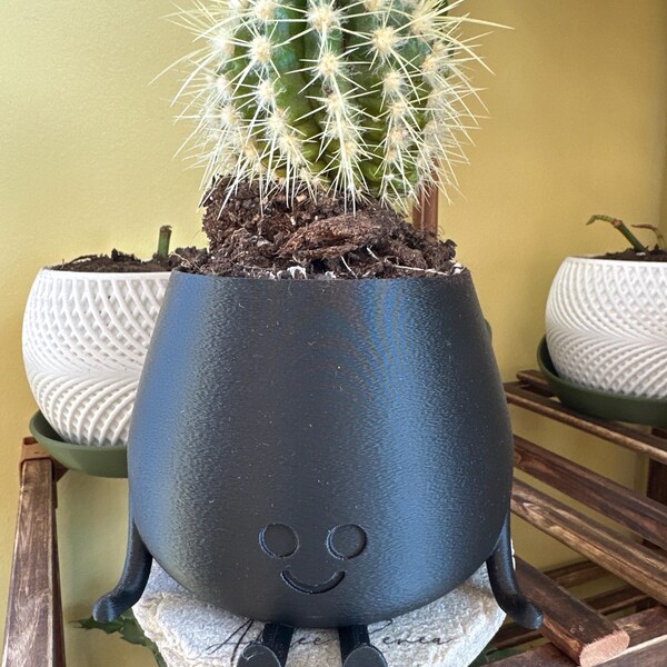 Roni Modern 3D Printed Planter Minimalist Indoor Plant Pot for ...
