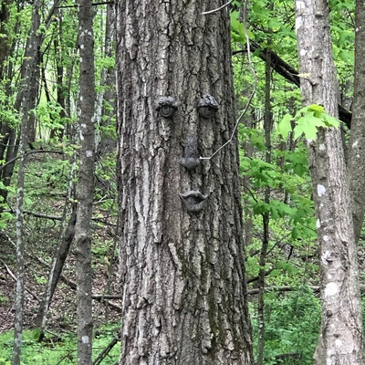 Tree Face - Etsy