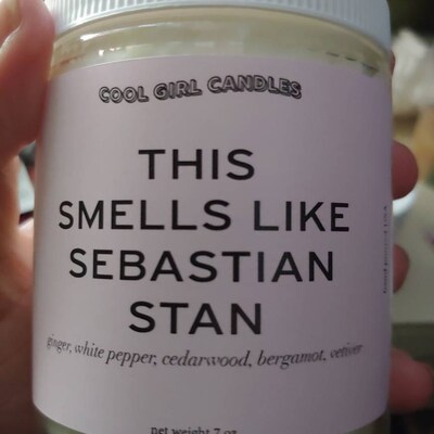 This Smells Like Sebastian Stan Candle Pop Culture Candles Celebrity ...