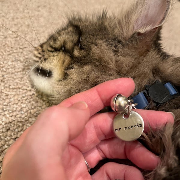 Cat Tag, Cat ID Tag, Small Pet Tag, Cat Name Tag, Microchipped Tag ...