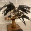 Raven Skeleton Prop on A Rustic Wooden Perch - Etsy