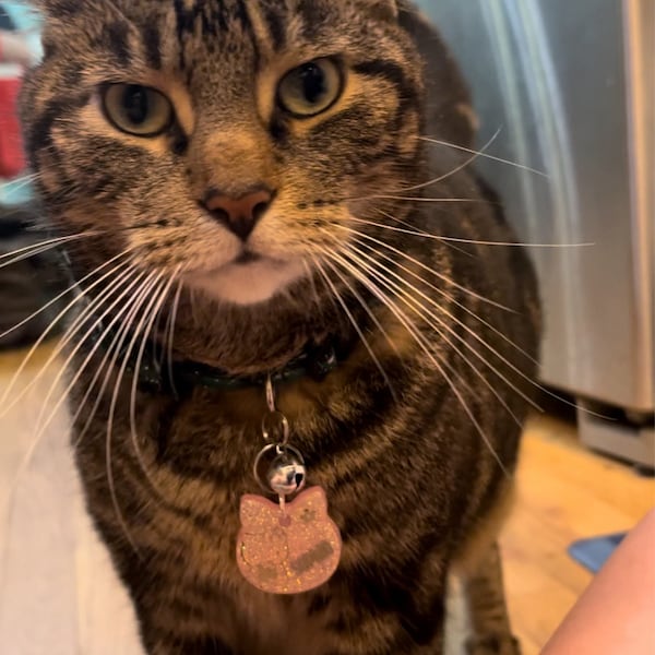 Custom Alphabet Magnets, Fridge Magnets, Resin Magnets, Toddler ...