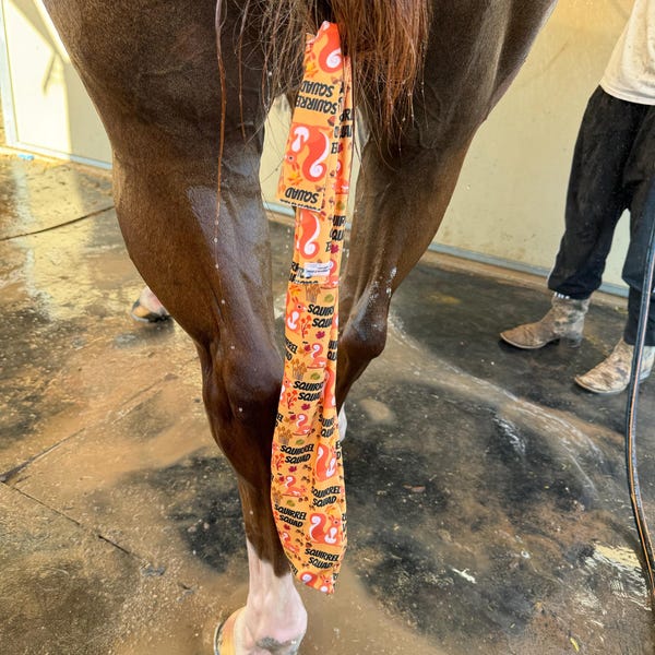 Western Brand Tail Mane Bag Set, Horses Tail Mane Bag Set, Mane Bag Set ...