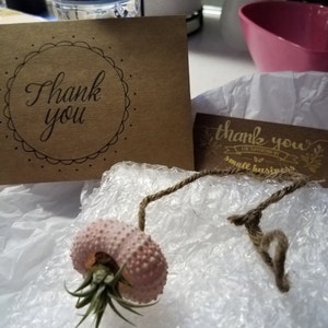 Zach Bryan Inspired Elastic Bracelets - Etsy