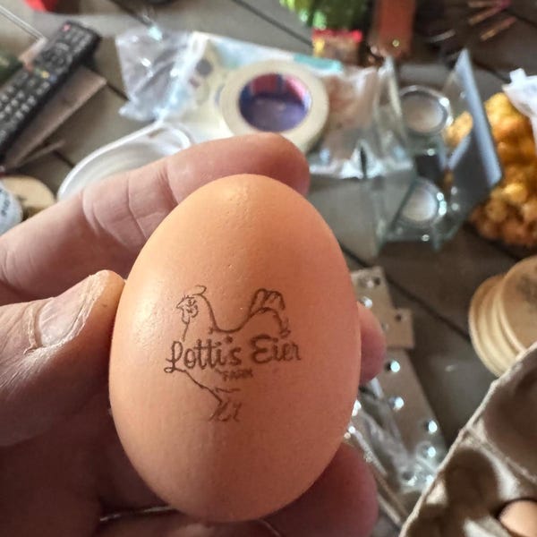 Mini Egg Stamp | Homesteading | Farm Stamp | Egg Marking | Egg Stamper ...