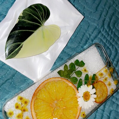 Iphone X Fruit Casepressed Real Flowers Case for Iphone 11 12 - Etsy