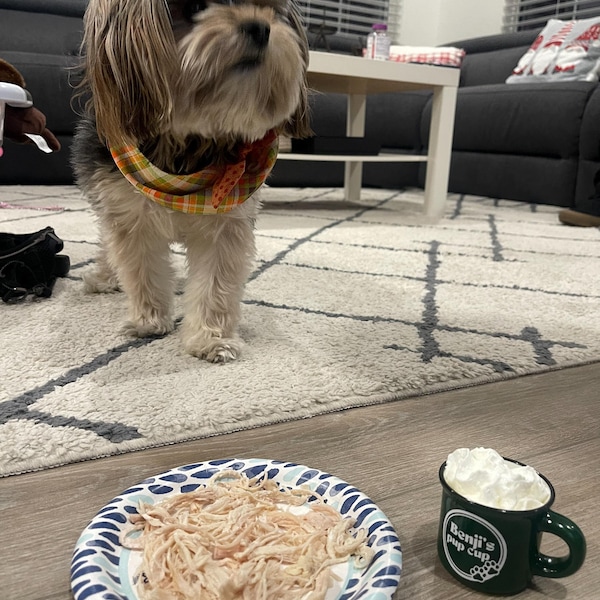 Reusable Pup Cup | Custom Puppuccino Mug | Dog Mom Gift | 2oz ...