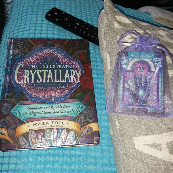 Crow - CORVUS - Kraai , LUXURY Mini Dome - Heketa - Etsy