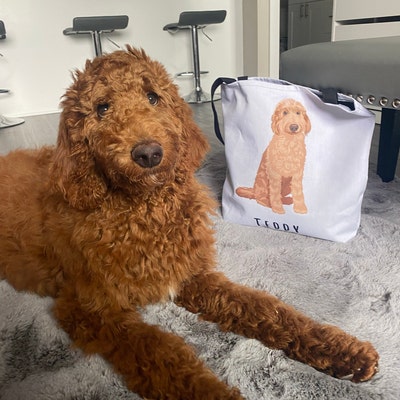 Custom Dog Glass Cup Using Name & Photo, Personalized Dog Ice Coffee ...