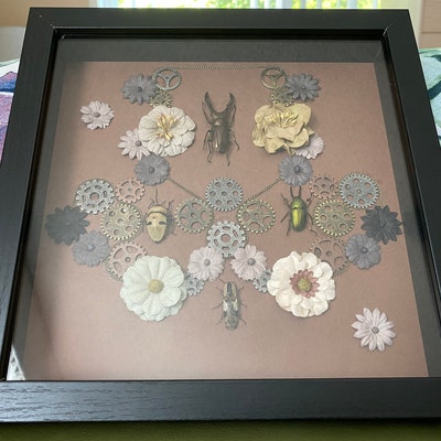 Complete Beetle Mounting Kit Beetle Spreading and Pinning Kit specimen ...