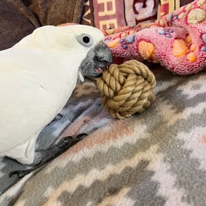 Black Spider Dog Rope Toy, Handmade Sustainable Dog Rope Toys, Toys for ...