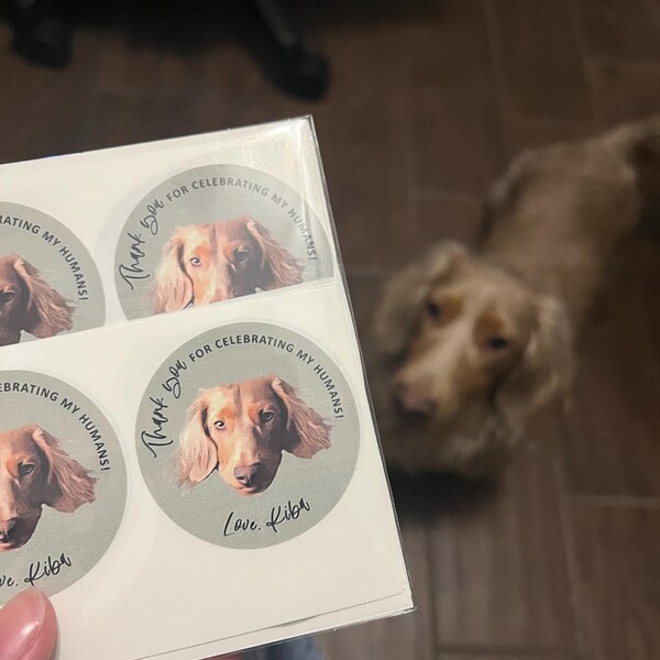 Custom Dog Wedding Favor Stickers, Dog of Honor Personalized Pet Photo ...