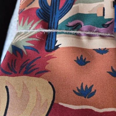 Cactus and Gekko Windsock 6 Ft Ripstop Nylon Spinnaker Cloth - Etsy