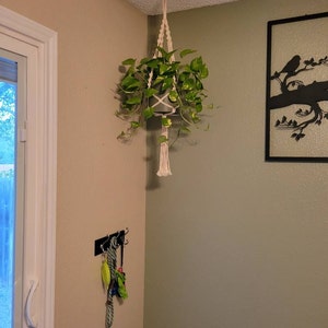 Macrame Hanging Shelf Macrame Kitchen Storage Shelf - Etsy