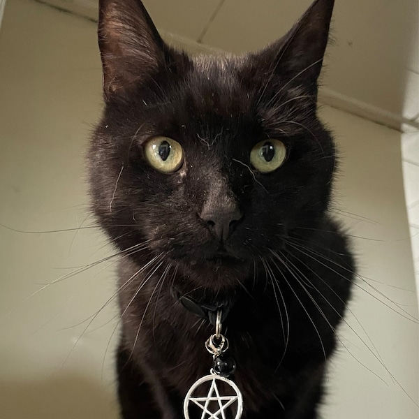 Witches Familiar Pentacle Cat Collar: Adjustable Pentacle Charm ...