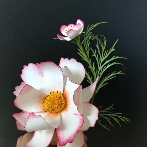 Cosmos 3D Paper Flower Template & Tutorial, SVG Template for Cricut and ...