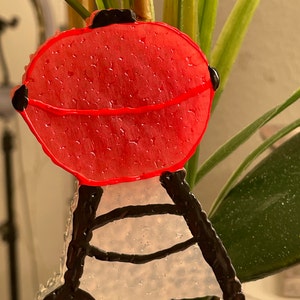 9 Piece Fiesta Pinata Cookie Cutter Set Mexican Cinco De Mayo | Etsy