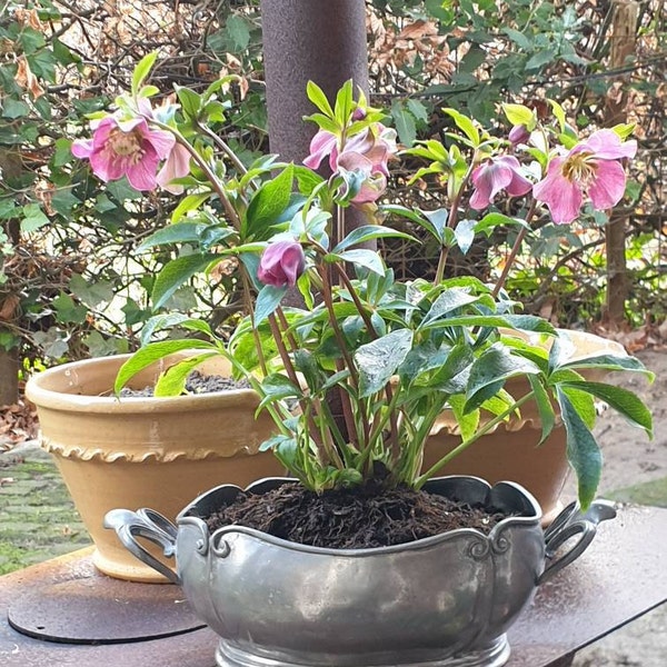 Small World Globe, World Map, Tabletop Globe Metal Axis and Wooden ...