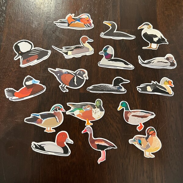 Alpha Phi Sticker Pack, Sorority Stickers, Alpha Phi Flag, Alpha Phi ...