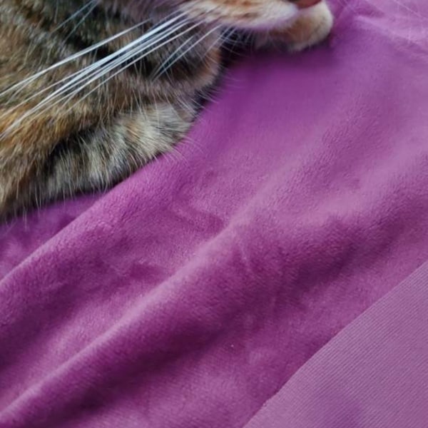 Teddy Bear Sewing Pattern betsy Bear PDF, in English Dress Me Bestie ...