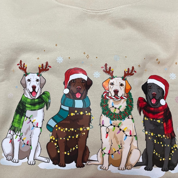 Dad Shirt, Disney Dad ,funny Disney Dad Shirt, Father's Day Gift,dad ...