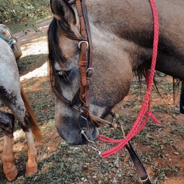 Horse Bucket Hanger, Equine Feed Net and Water Bucket Hanger Horse ...