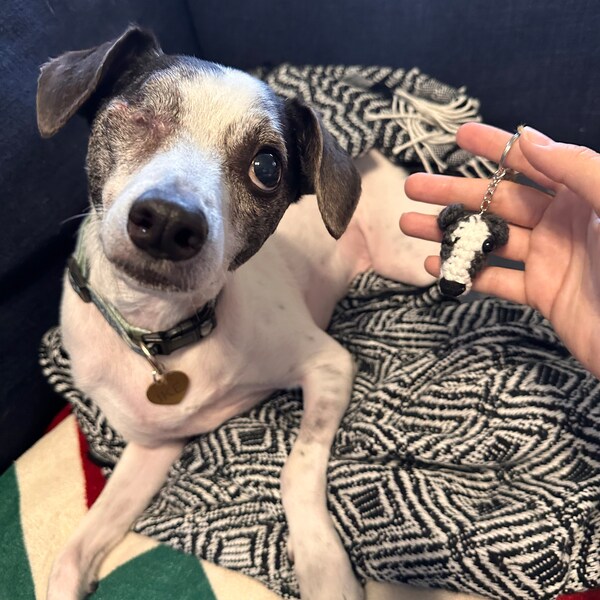 Cute Crochet Borzoi Dog Keychain - Greyhound (long Nose Dog) - Etsy
