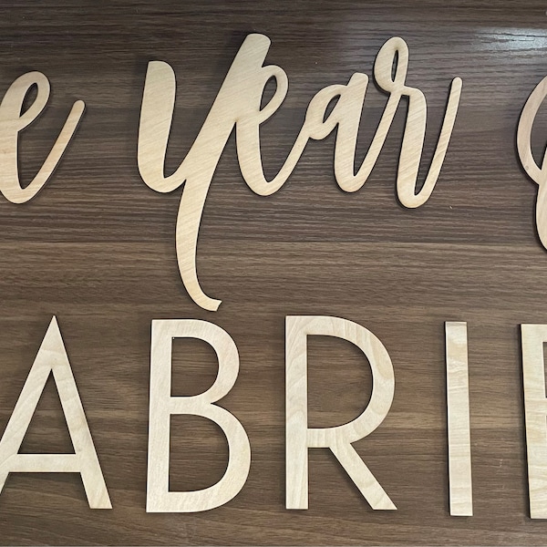 Custom One Year of + Name Wooden Cutout, Baby Photo Display - Etsy