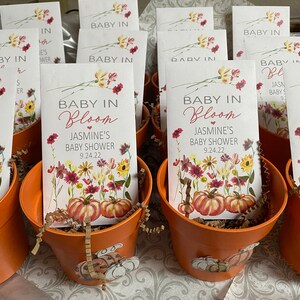 Graduation Favor Wildflower Seed Packets With Graduation Hat - Etsy