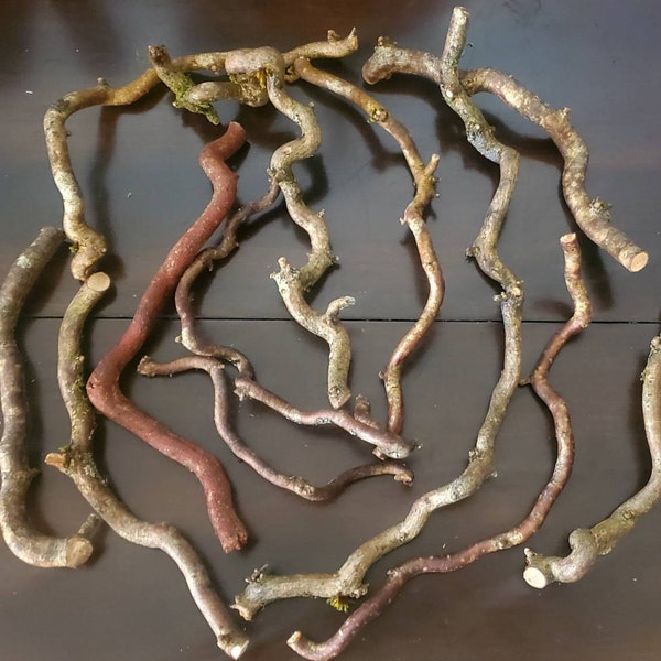 Thick Natural Hazel Wood Branches, Crafts & Decor - Celtic Craft ...