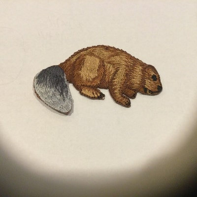 Beaver Applique Patch Nocturnal Rodent Badge 2.5 iron On - Etsy