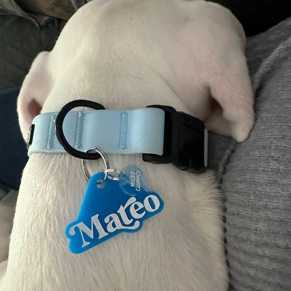 Bright Acrylic Pet ID Tags, Custom Pet Tag, Pet Tag, Personalized ...