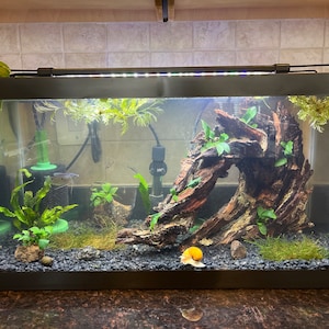 Dragon Stone Aquarium Aquascape Bonsai Driftwood Large Fish - Etsy