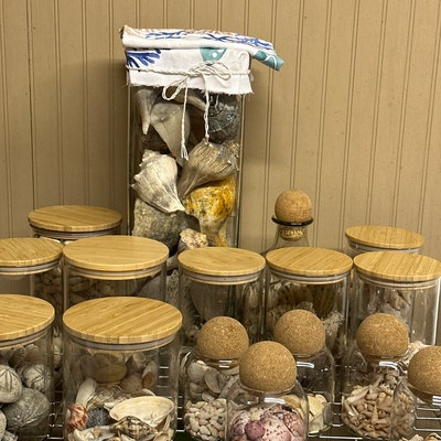 Spiny Jewel Box Sea Shells, Jewel Box Shells, Sanibel Sea Shells ...
