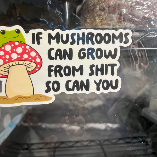 Funny Adult Humor Stickers, Waterproof Stickers, Water Bottle Sticker ...