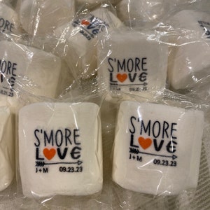 12 Girly Fall Camping Smore Glamping Pink Tent Idea Girls Birthday ...