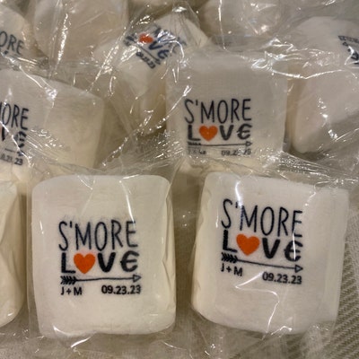 12 Girly Fall Camping Smore Glamping Pink Tent Idea Girls Birthday ...