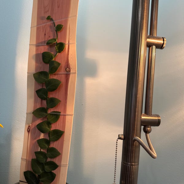 Eastern Red Cedar Craft Boards, Odd Lot Sizes, Some Defects. 1/4” Thick ...