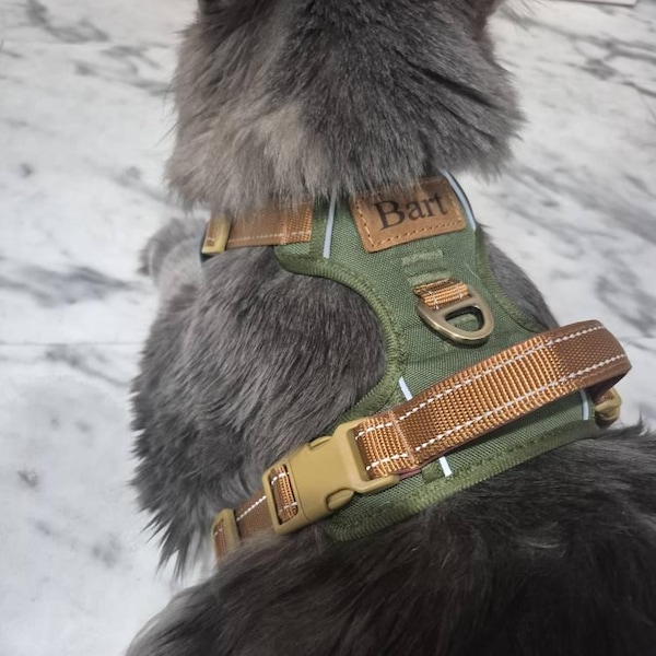 Personalized Pet Harness, Night Reflective Collar With Customized Name ...