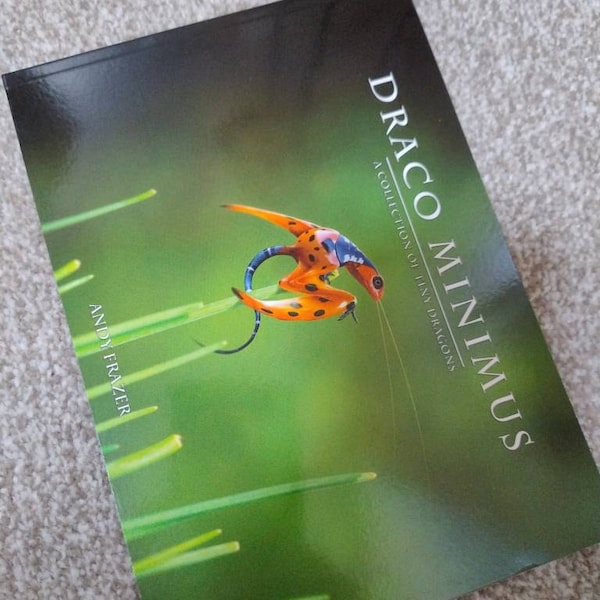 Draco Minimus Book - Etsy