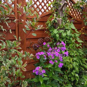 Triple Parsley Plant Pins Garden Art | Etsy UK