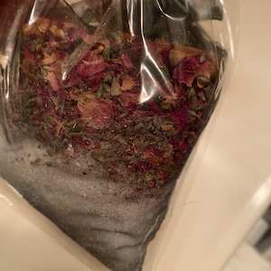 Real Bobcat Toe Bone Curiosity Jar Bone Terrarium Oddity Jar - Etsy