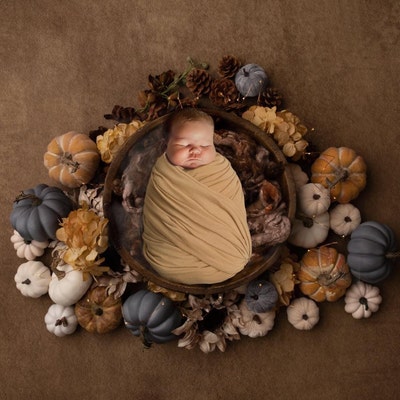 Fall Digital Backdrop, Newborn Baby Digital Backdrops, Digital ...