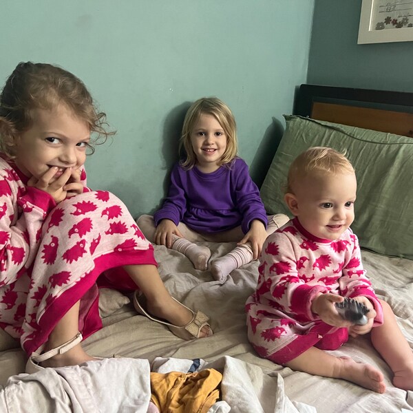 Ski Holder for Ebike and Fatbikes | Transport Skis on Bike | Ski Rack ...